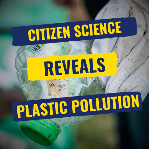 Citizen Science Reveals Plastic Pollution in Lithuanian Rivers ...